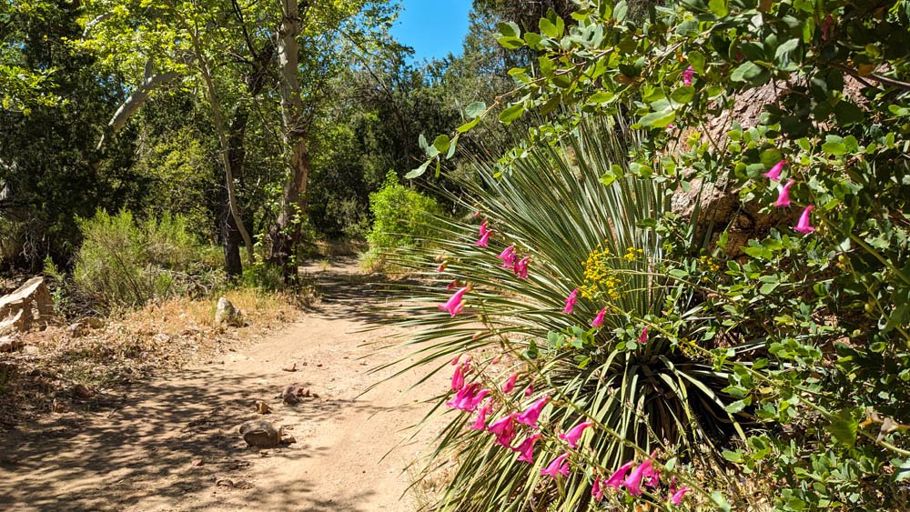 Artistic Inspiration from Nature: Exploring the Beauty Around Us - Flo ...